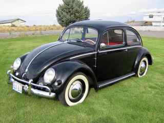 This 1955 Beetle Sedan has been a consistant award winner in the ...